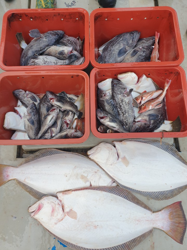 무창포 소라피싱